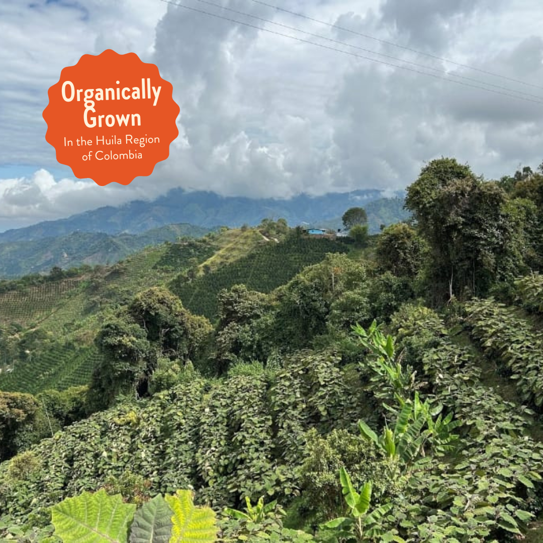 Howler | Decaf Single Origin | Colombia | Sugarcane EA Decaffeinated ...