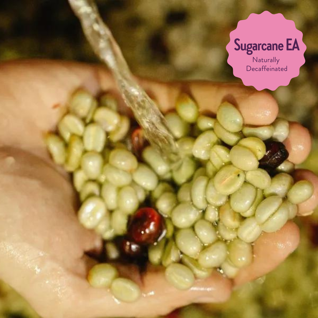 Howler | Decaf Single Origin | Colombia | Sugarcane EA Decaffeinated ...